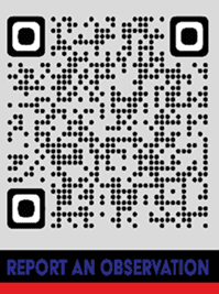 Resources - FP Procurement